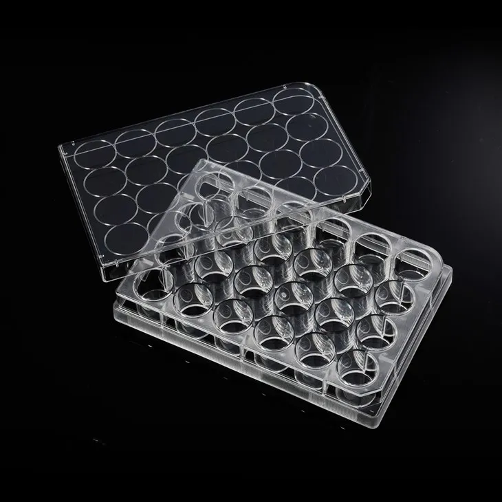 China Supplier 6/12/24/48/96 Wells Cell Culture Plates Manufacturers ...